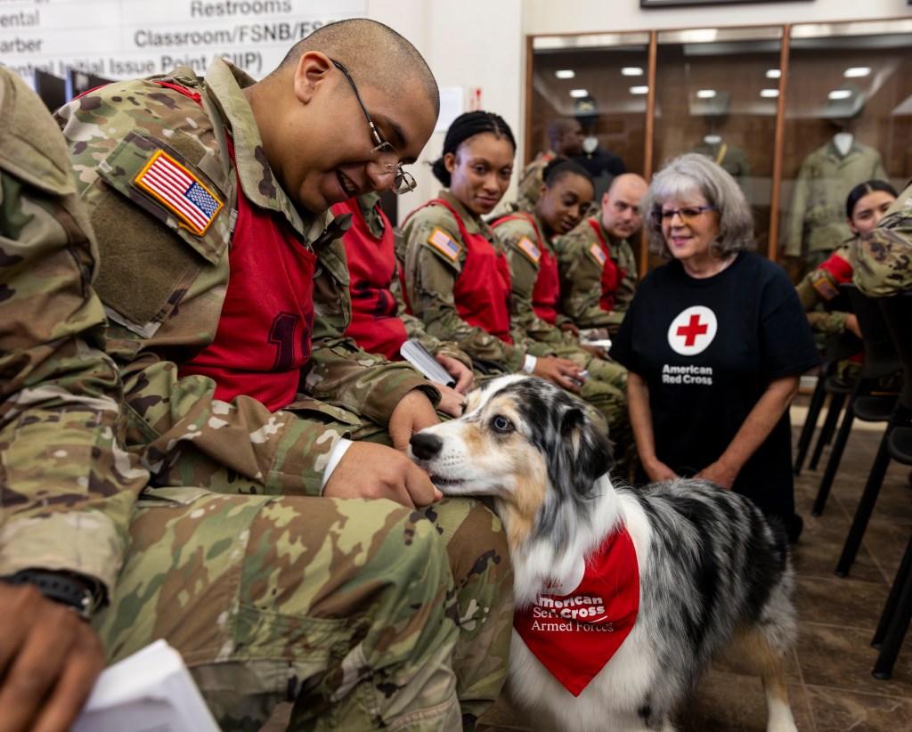 American Red Cross Honors Military Community Through Commitment to ...